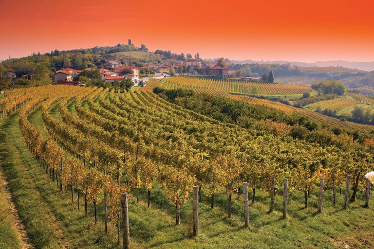 ELYSIAN Magazine | Italian Vineyards - A Wine Tasting Tour