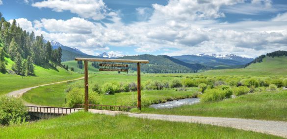 ELYSIAN Magazine | Flying D Ranch: A Commitment to Conservation