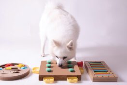 10 Essential Core Exercises for Middle-Aged Women to Boost Functional Fitness - ELYSIAN Magazine