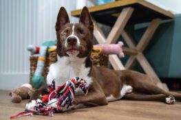 The Vanishing American Family: Why Traditional Households Are ...